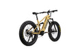 CYKE Falcon X Full Suspension EMTB | Mid-Drive Motor Ebike – CYKE Bikes