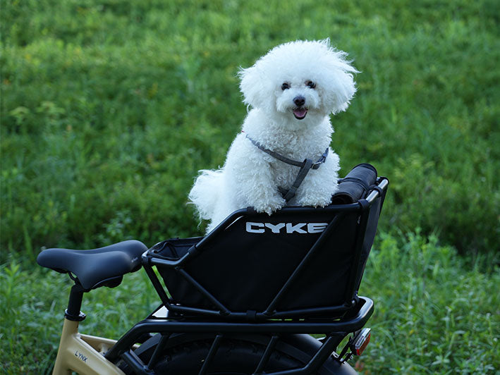 Ebike Rear Basket | Electric Bike Dog Carrier | CYKE Bikes
